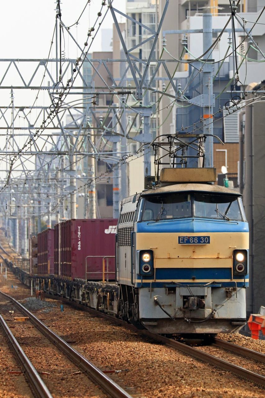 JR貨物 EF66-30号機 : 鐵道写真公開所 参号機