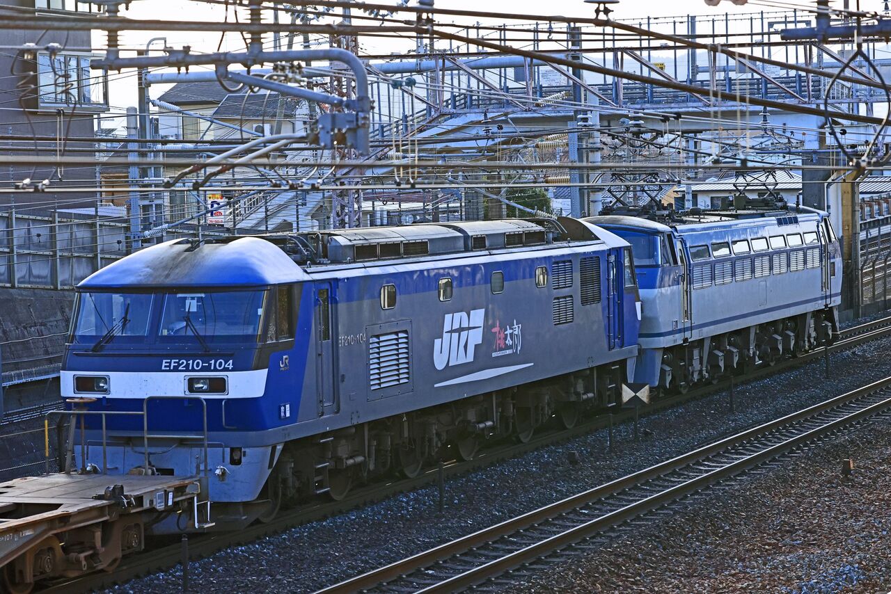JR貨物 EF66-123号機＋EF210-104号機 : 鐵道写真公開所 参号機