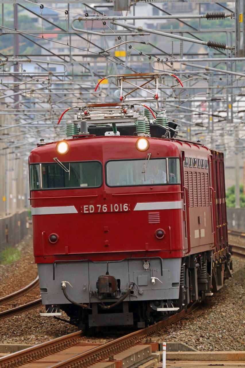 JR貨物 ED76-1016号機 : 鐵道写真公開所 参号機