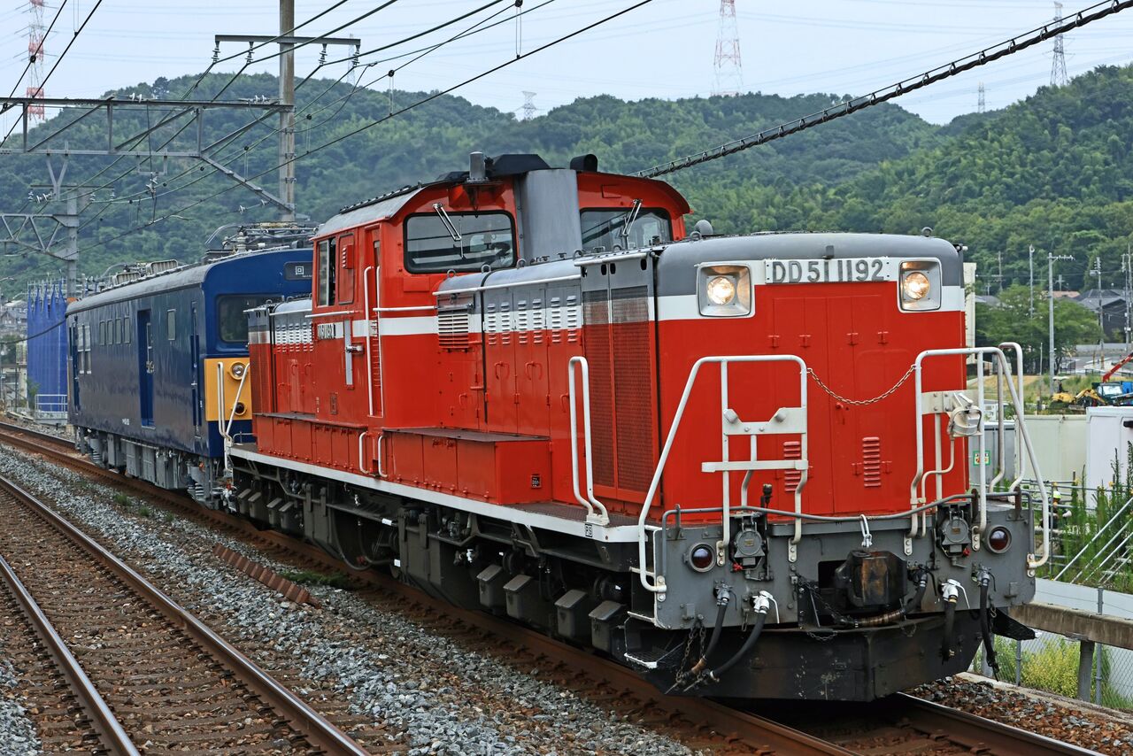 JR西日本 クモヤ145-1051 ST51編成 DD51-1192号機牽引 「配給」＠島本駅 : 鐵道写真公開所 参号機