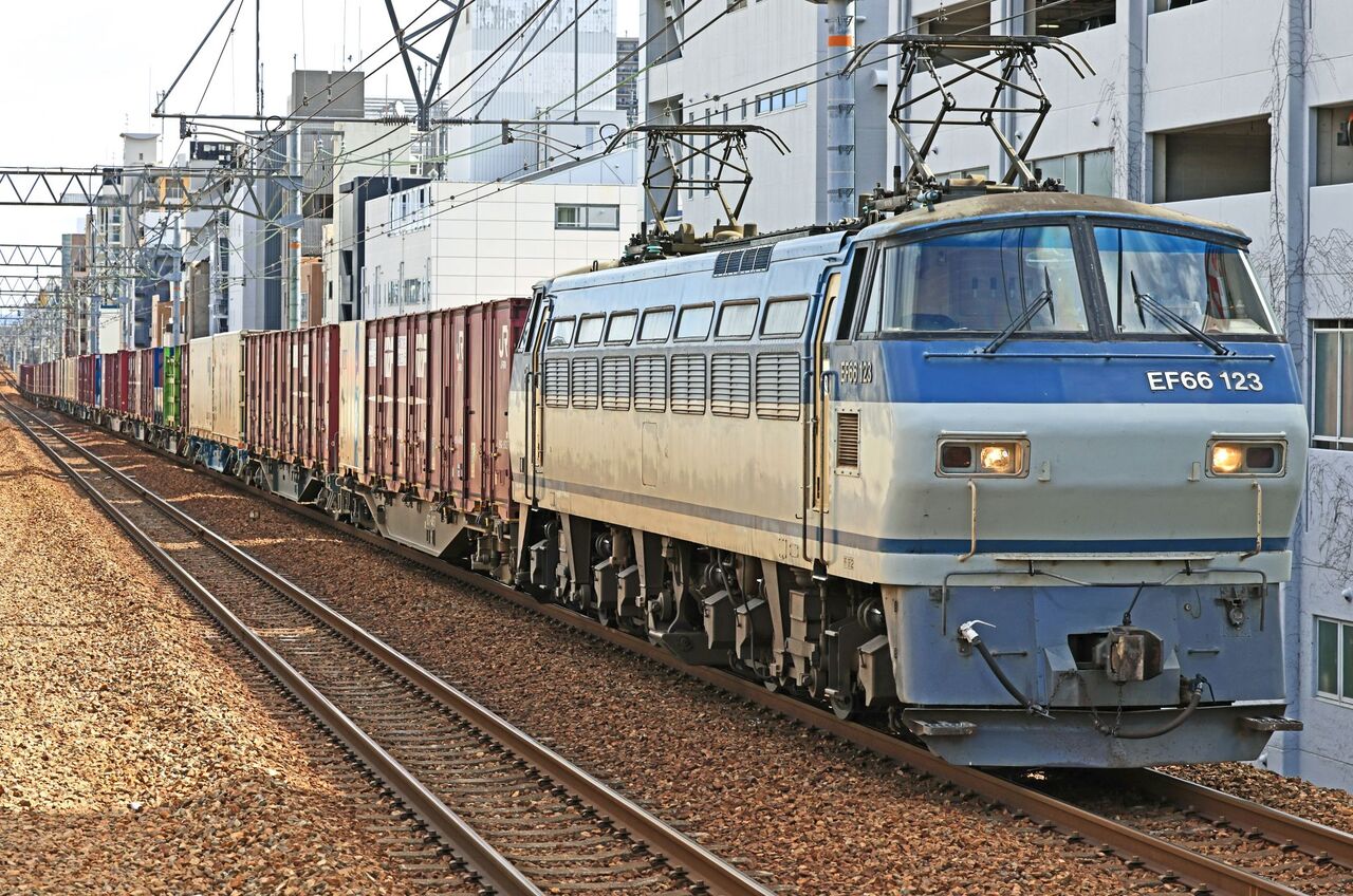 JR貨物 EF66-123号機 : 鐵道写真公開所 参号機