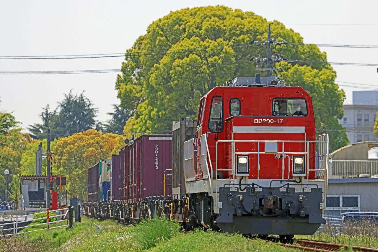 JR貨物 DD200-17号機＠3092レ : 鐵道写真公開所 参号機