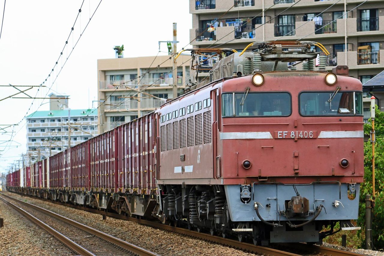 JR貨物 EF81-406号機 : 鐵道写真公開所 参号機