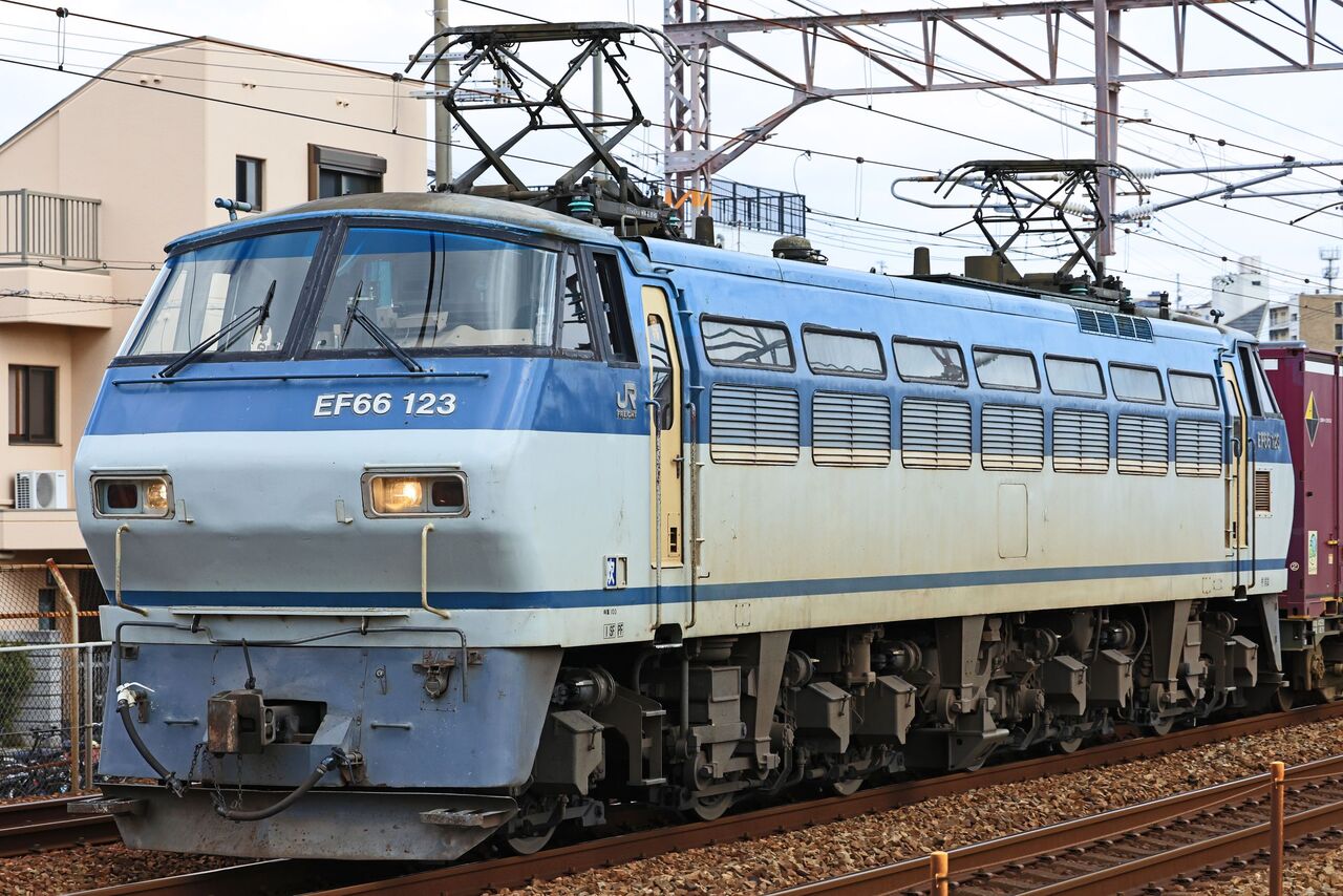 JR貨物 EF66-123号機 : 鐵道写真公開所 参号機