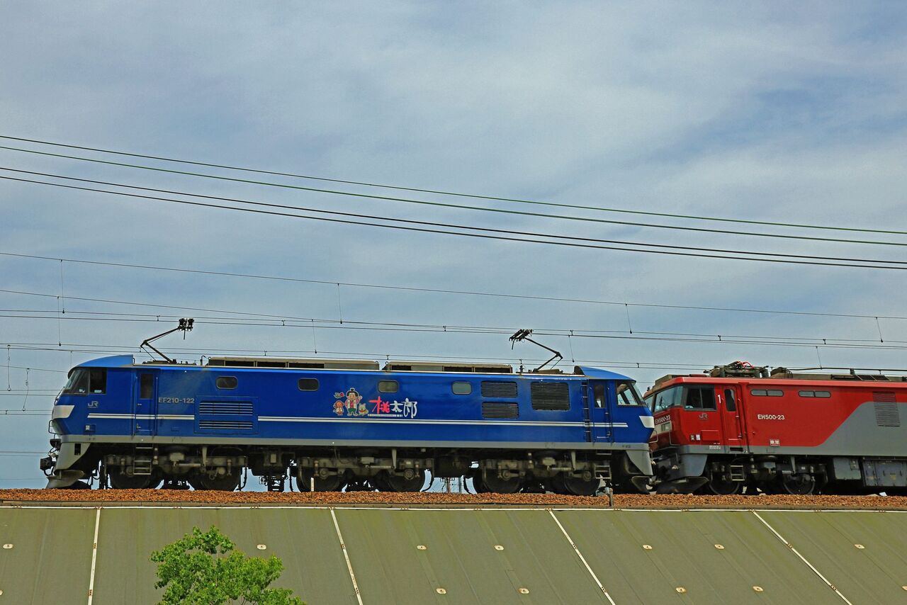 JR貨物 EH500-23号機 無動力回送 EF210-122号機 新塗色 牽引＠2073レ : 鐵道写真公開所 参号機