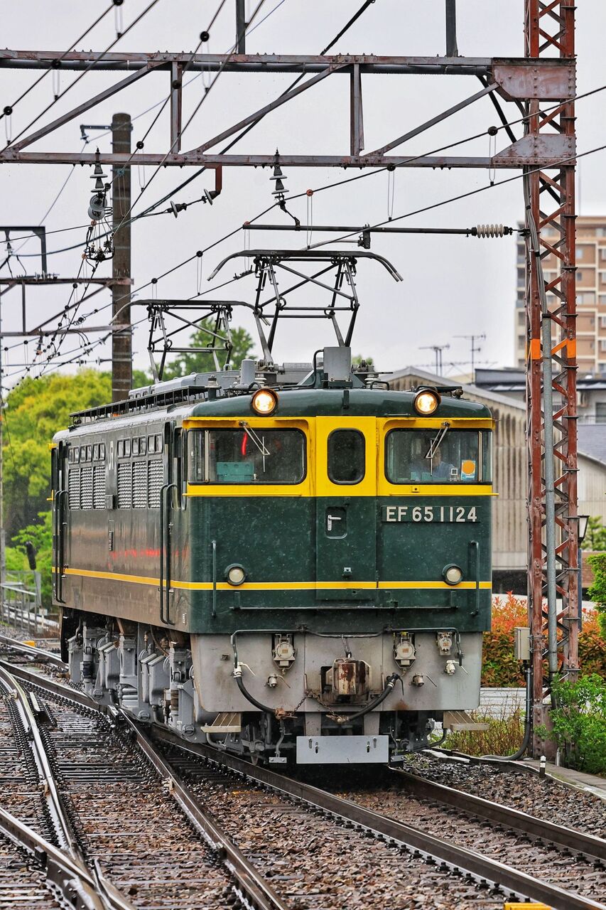 JR西日本 EF65-1124号機「トワイライト」色 牽引機回送 : 鐵道写真公開所 参号機