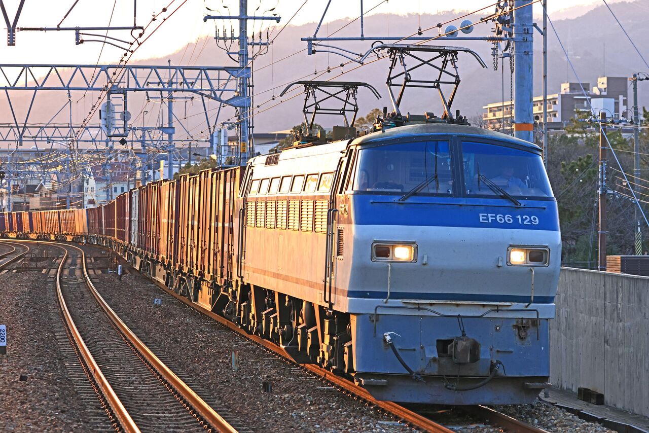 JR貨物 EF66-129号機 : 鐵道写真公開所 参号機