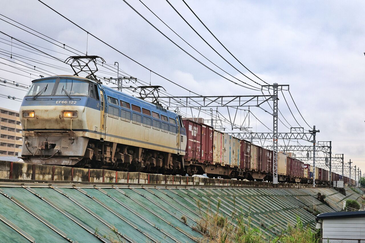 JR貨物 EF66-122号機 : 鐵道写真公開所 参号機