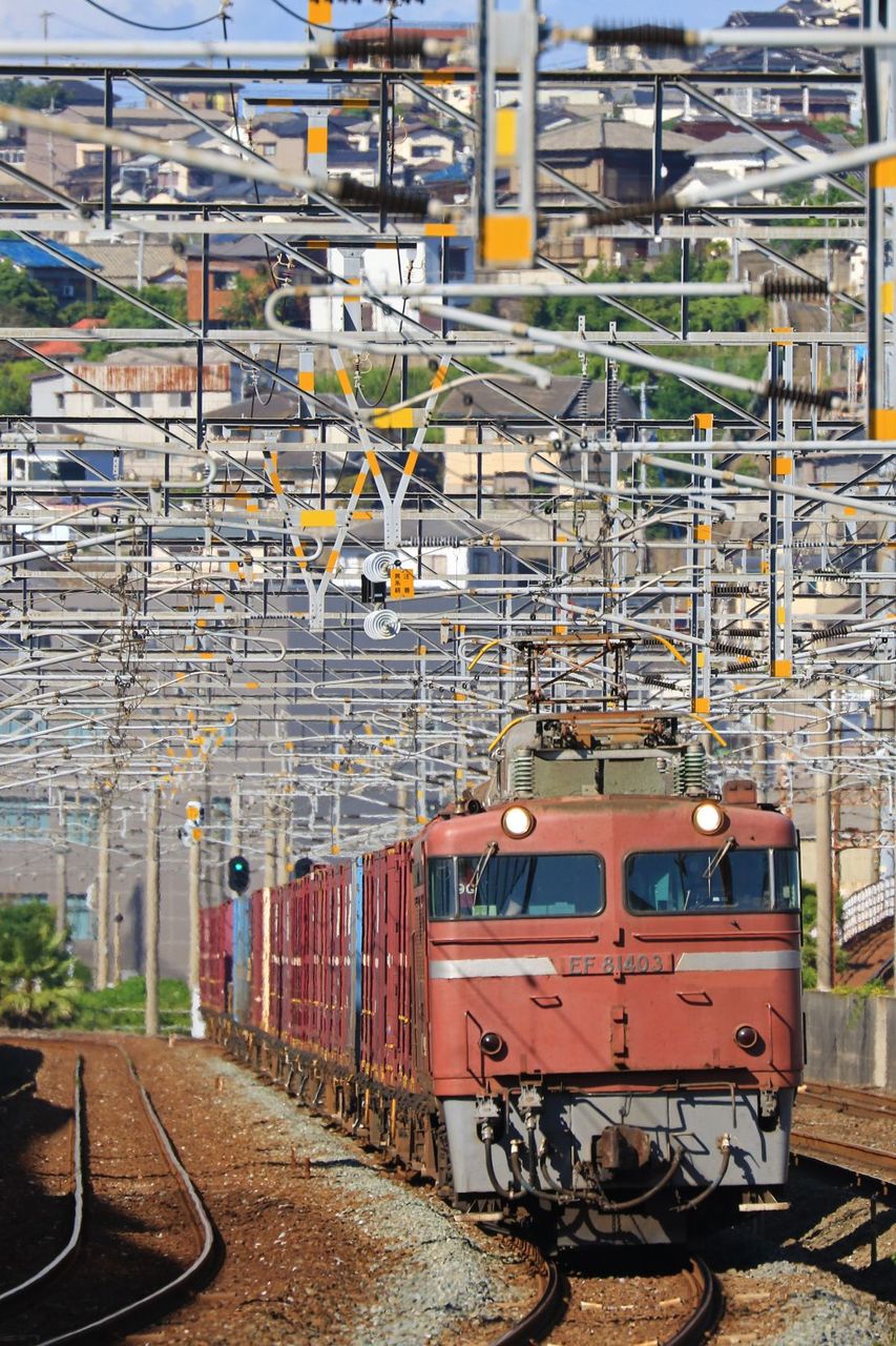 JR貨物 EF81-403号機 : 鐵道写真公開所 参号機