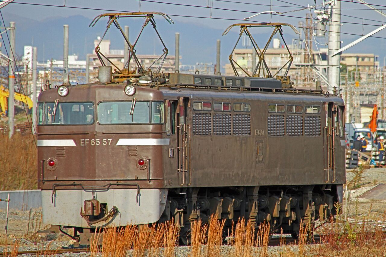 JR貨物 EF65-57号機 ぶどう色2号 : 鐵道写真公開所 参号機