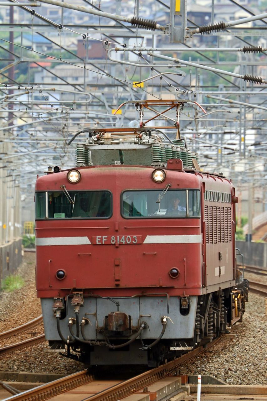 JR貨物 EF81-403号機 : 鐵道写真公開所 参号機