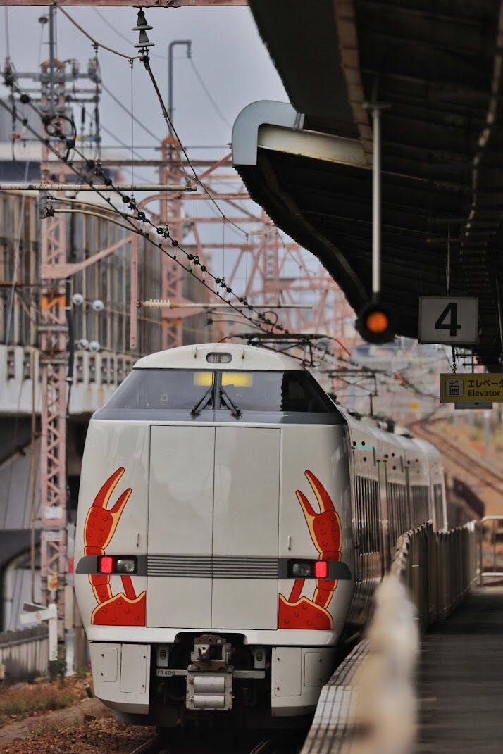 JR西日本 289系FG406編成「かにラッピング」編成 : 鐵道写真公開所 参号機