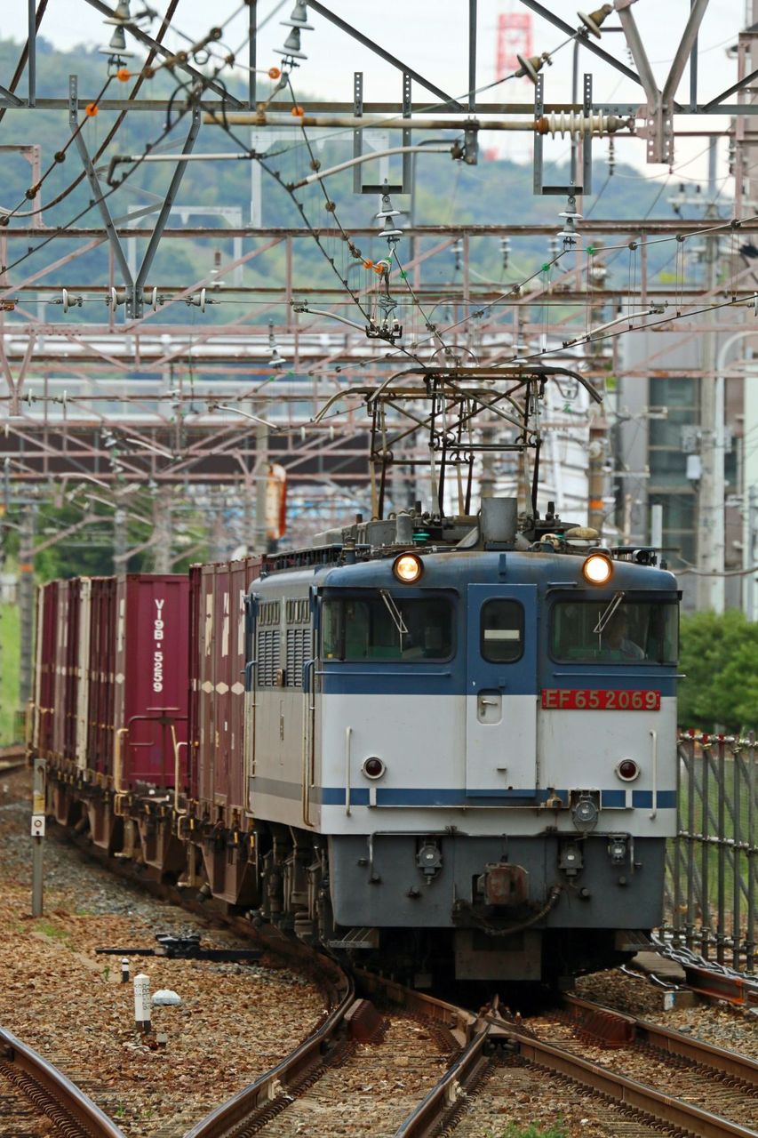 JR貨物 EF65-2069号機 二色更新色 : 鐵道写真公開所 参号機