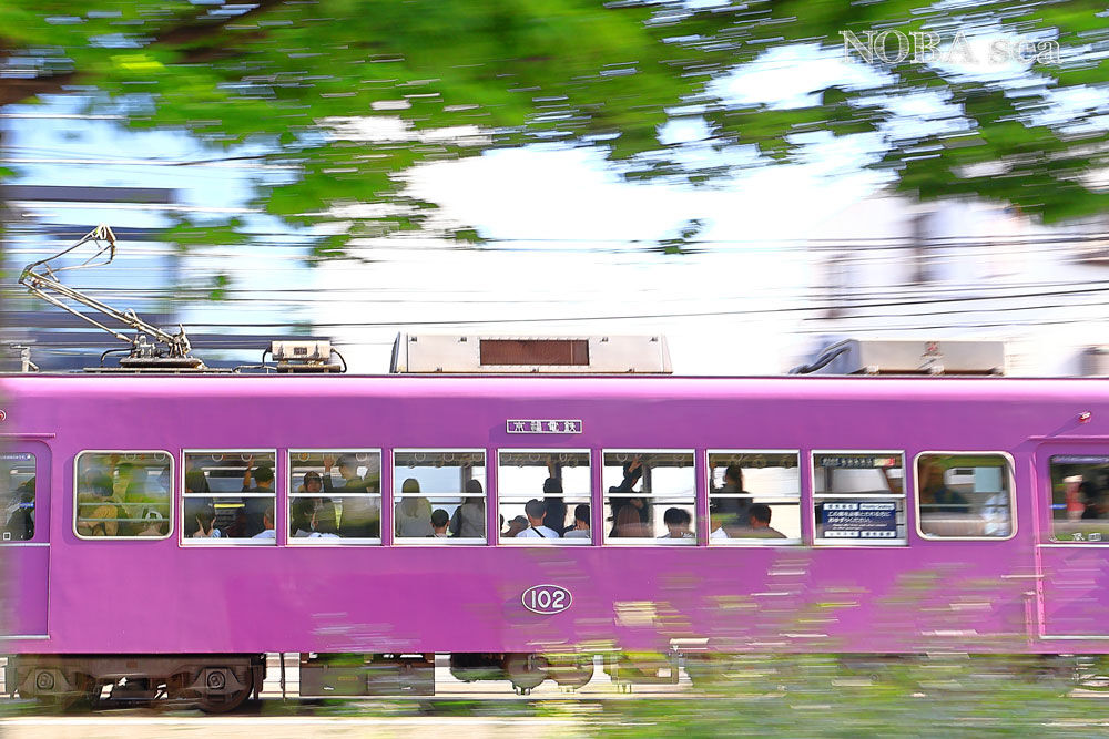 今日も乗客を乗せて : 旅々列車たび Blog