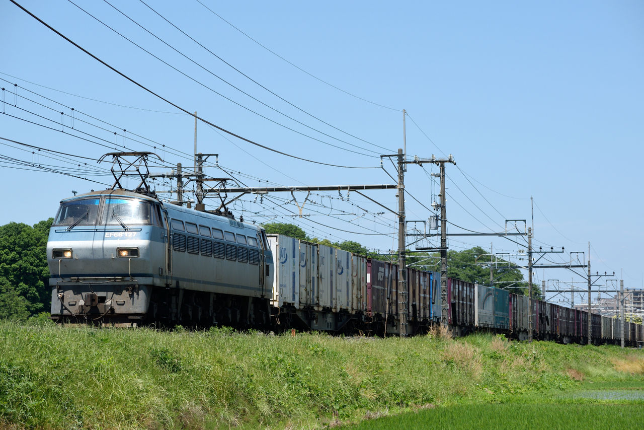 EF64原色とEF66-0を撮りに早朝の東北本線へ 2015/05/30 : 新デジカメ鉄道風来記