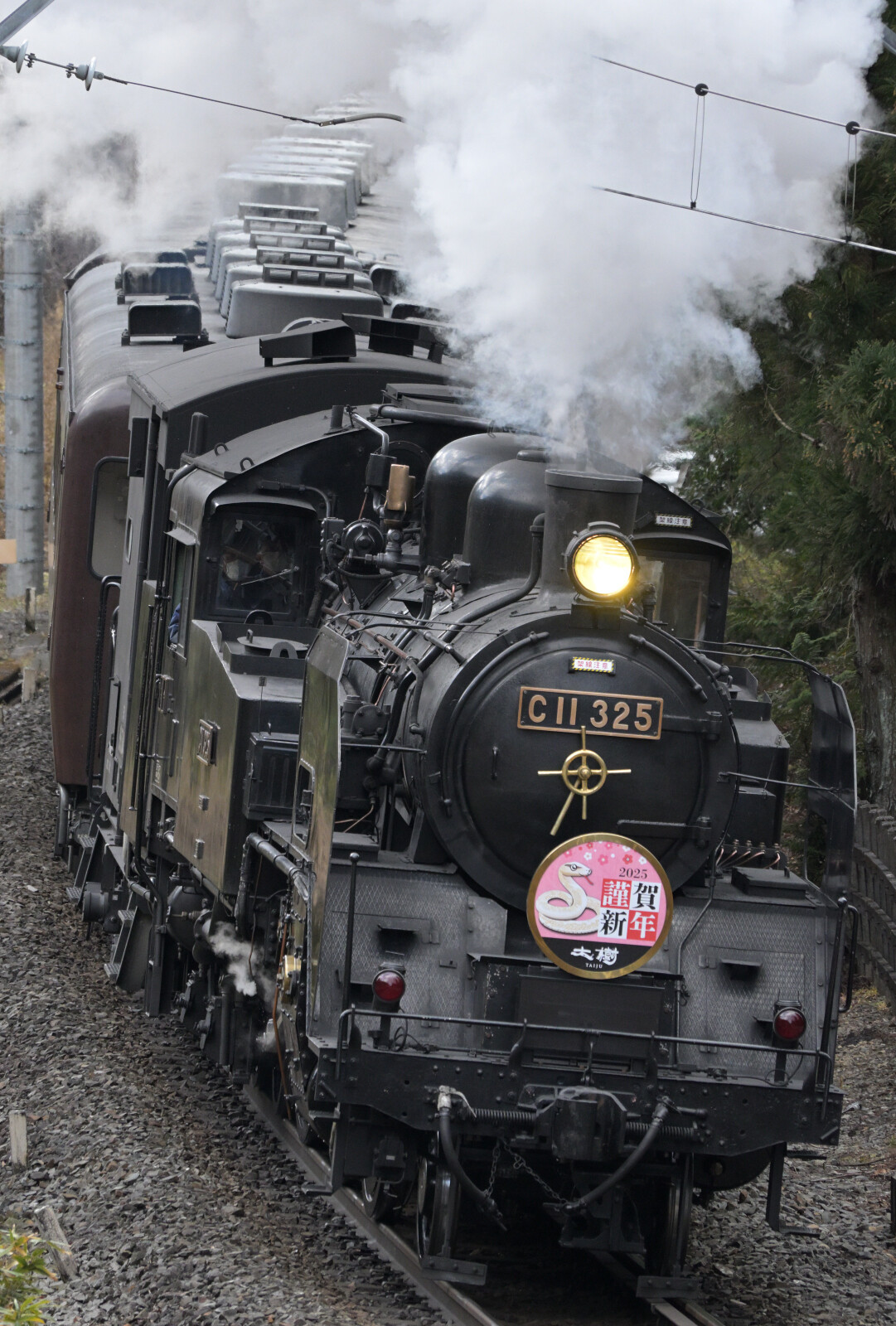 東武鉄道 SL大樹1号/3号 正月HM掲出 2025/01/02 : 新デジカメ鉄道風来記