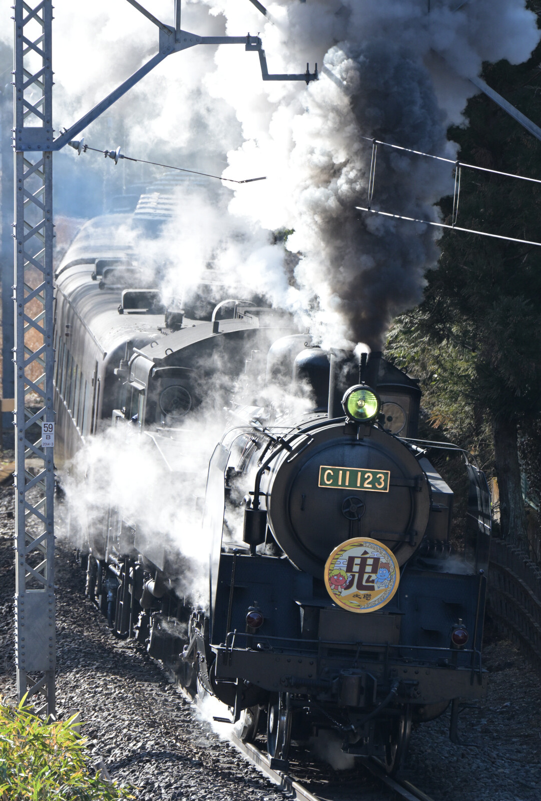 東武鉄道 SL大樹1号 招福鬼列車特別ヘッドマーク 2025/02/01 : 新デジカメ鉄道風来記