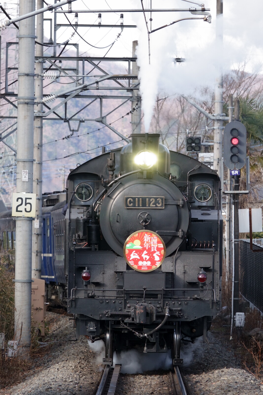 SL大樹5号とSL大樹4号 2023/01/02 : 新デジカメ鉄道風来記