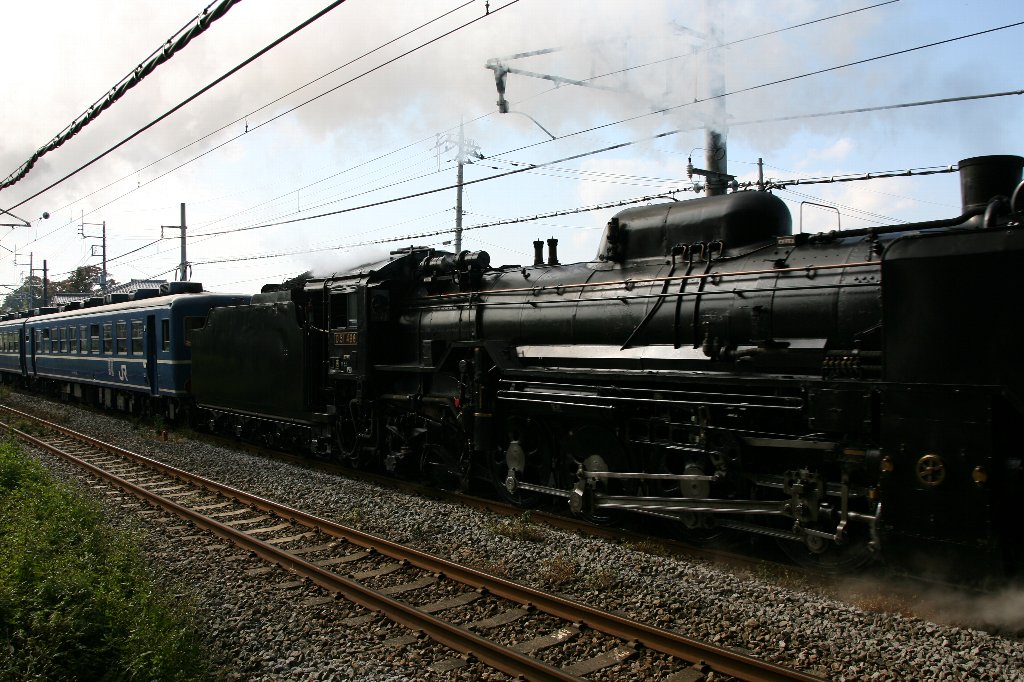 D51「SL奥利根号」を撮影 : 新デジカメ鉄道風来記