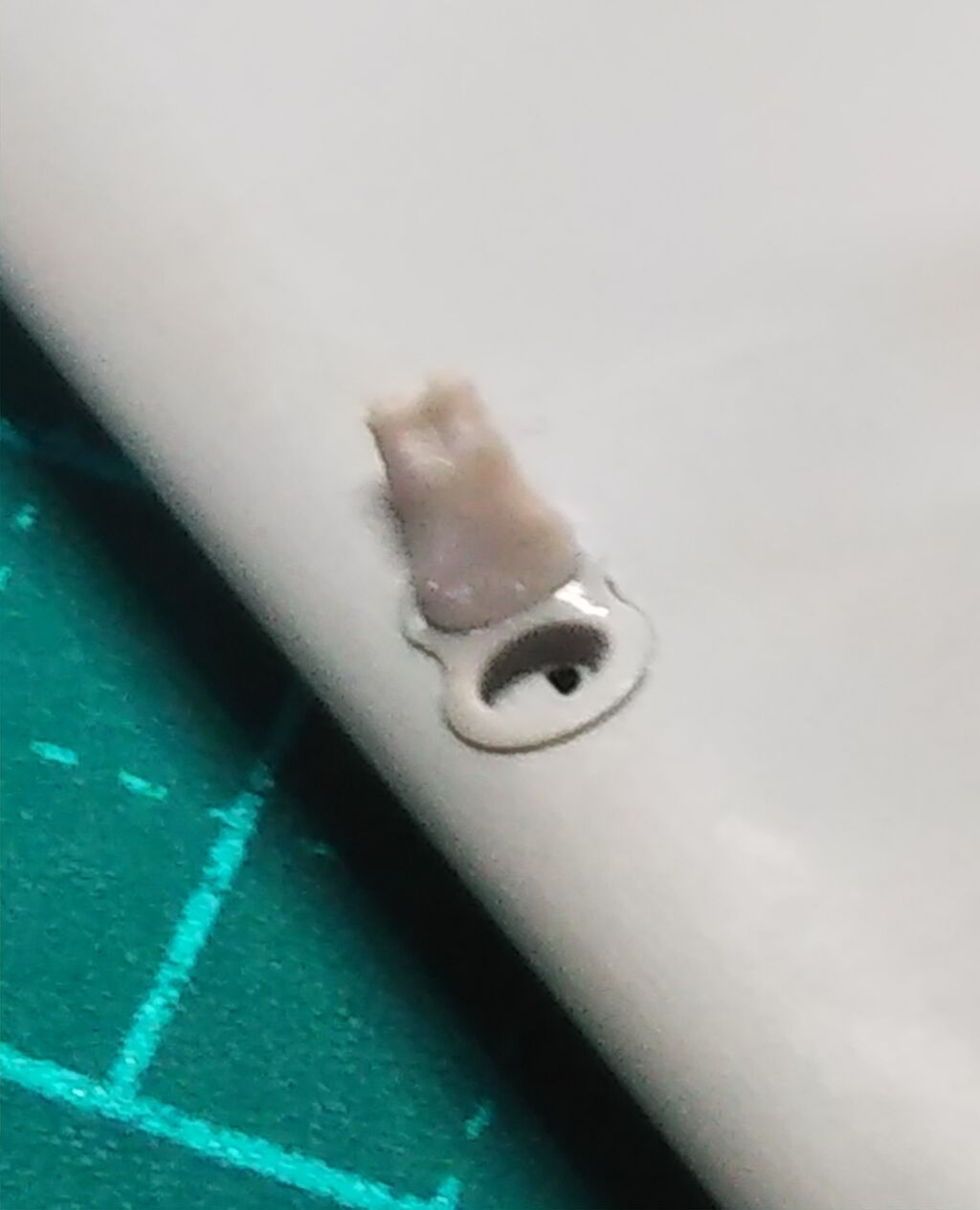 nobugudagudaのblog:ICM 1/32 Bucker Bu-131A Jungmann～PART4