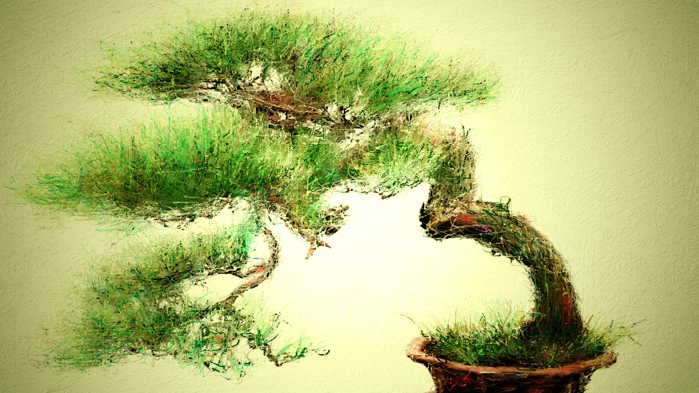 盆栽 : nodasantaのblog(イラストレーター) 盆栽 : nodasantaのblog(イラストレーター)