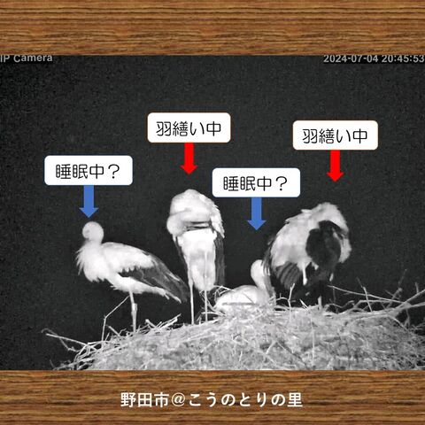 夜の様子 : 野田市＠こうのとりの里のblog