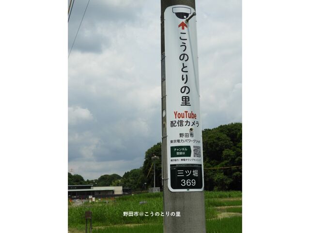 生配信中 : 野田市＠こうのとりの里のblog