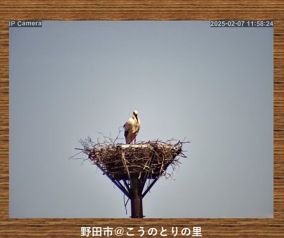 野外ペアのカメラ : 野田市＠こうのとりの里のblog