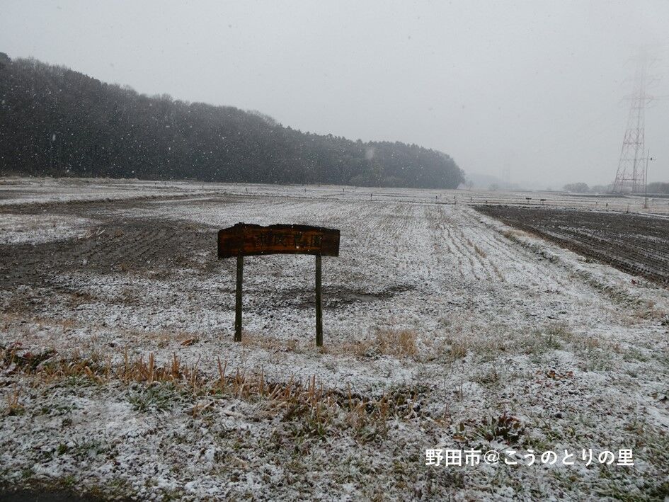 こうのとりの里にも雪が降りました。 : 野田市＠こうのとりの里のblog