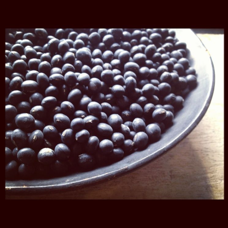 nofuの店番日記 : 今日はものすごよー冷えとったね〜