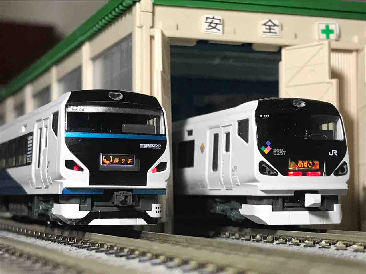 KATO E257系2000番台 踊り子 入線 : 夏島鉄道 KATO E257系2000番台 踊り子 入線 : 夏島鉄道