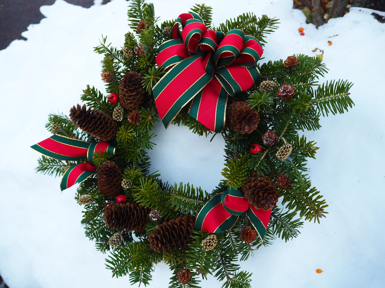 バタバタバタバタ・・・ : 呑ん子の放浪記