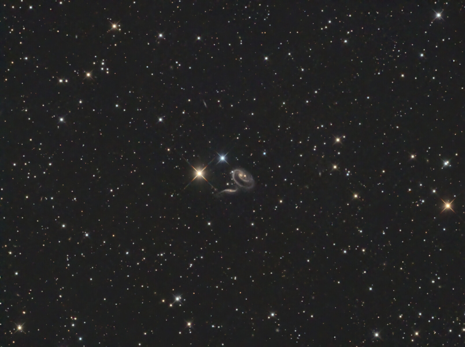 宇宙のバラ（Arp 273：UGC1810-1813) : のんたの星のブログ