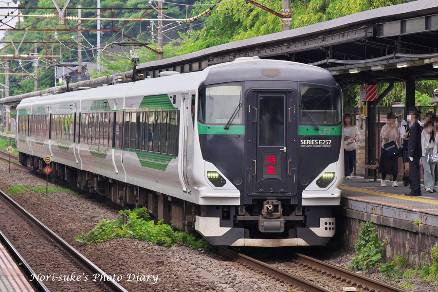 特急鎌倉 （E257、E653） 2025 6.8 : Nori-sukeの写真散歩