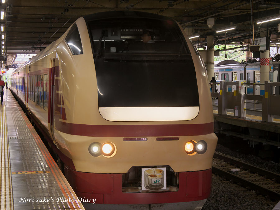 特急鎌倉 （E257、E653） 2025 6.8 : Nori-sukeの写真散歩