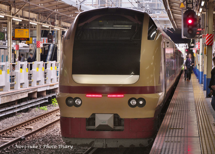 特急鎌倉 （E257、E653） 2025 6.8 : Nori-sukeの写真散歩