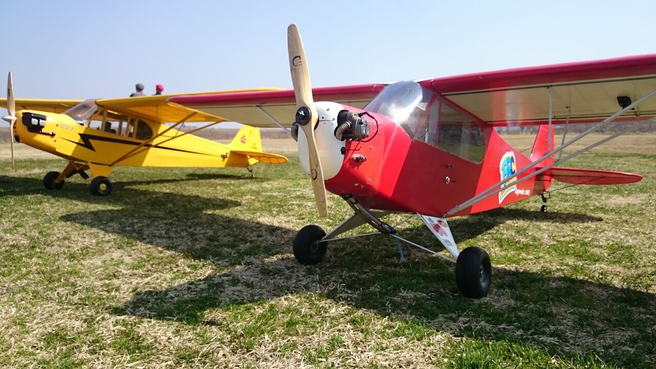 Sigクリップドウィングカブ : Flyer's High!