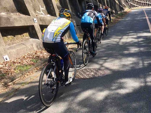 MIVRO 楓組ライドに参加！絶品プリンとカフェライド☕️🍮 : ロードバイク後の酒が美味い