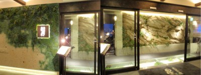 東京を食いつくす : 天空の庭 星のなる木（池袋／創作和食・新懐石）その1