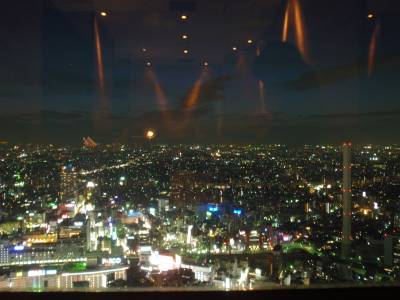 東京を食いつくす : 天空の庭 星のなる木（池袋／創作和食・新懐石）その1