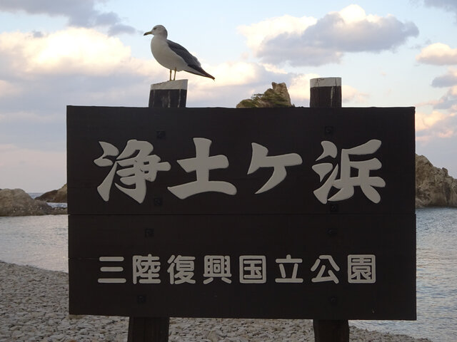 2025年12月21日 : ニャーちゃんのPhoto☆Blog