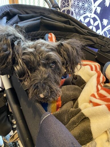 魚上松でランチして、公園お散歩して、カフェハンでお茶しました♪ : オーチャンネル☆