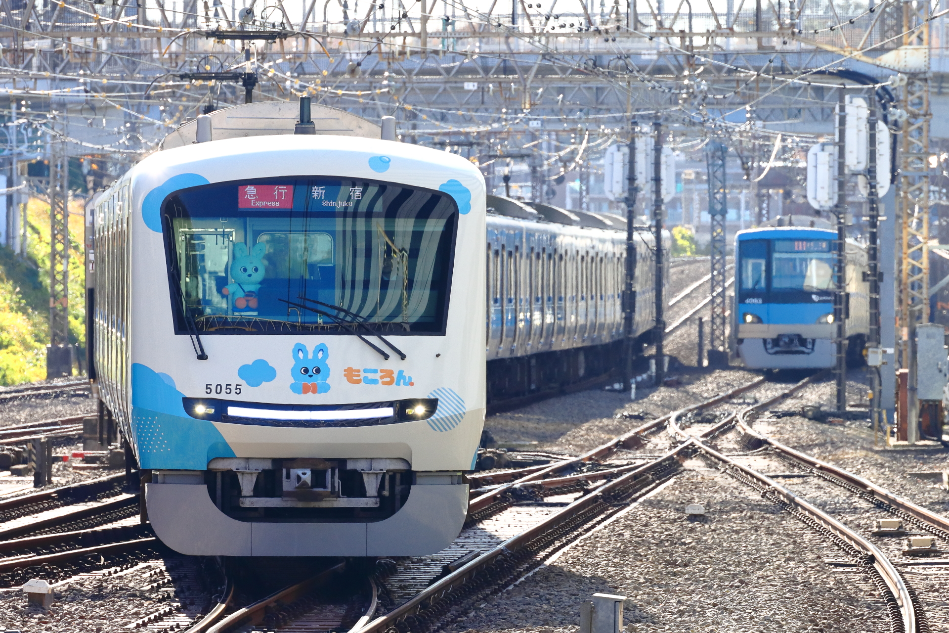 小田急で「もころん号」が運行開始 子供との記念写真はどの駅が撮りやすいのか : Odapedia ～小田急のファンブログ～