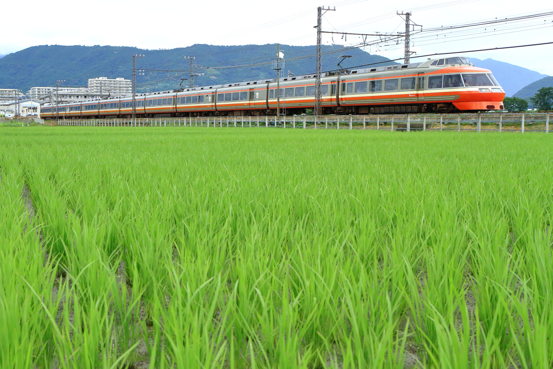 久々の風景の中でLSEを撮影 : Odapedia ～小田急のファンブログ～