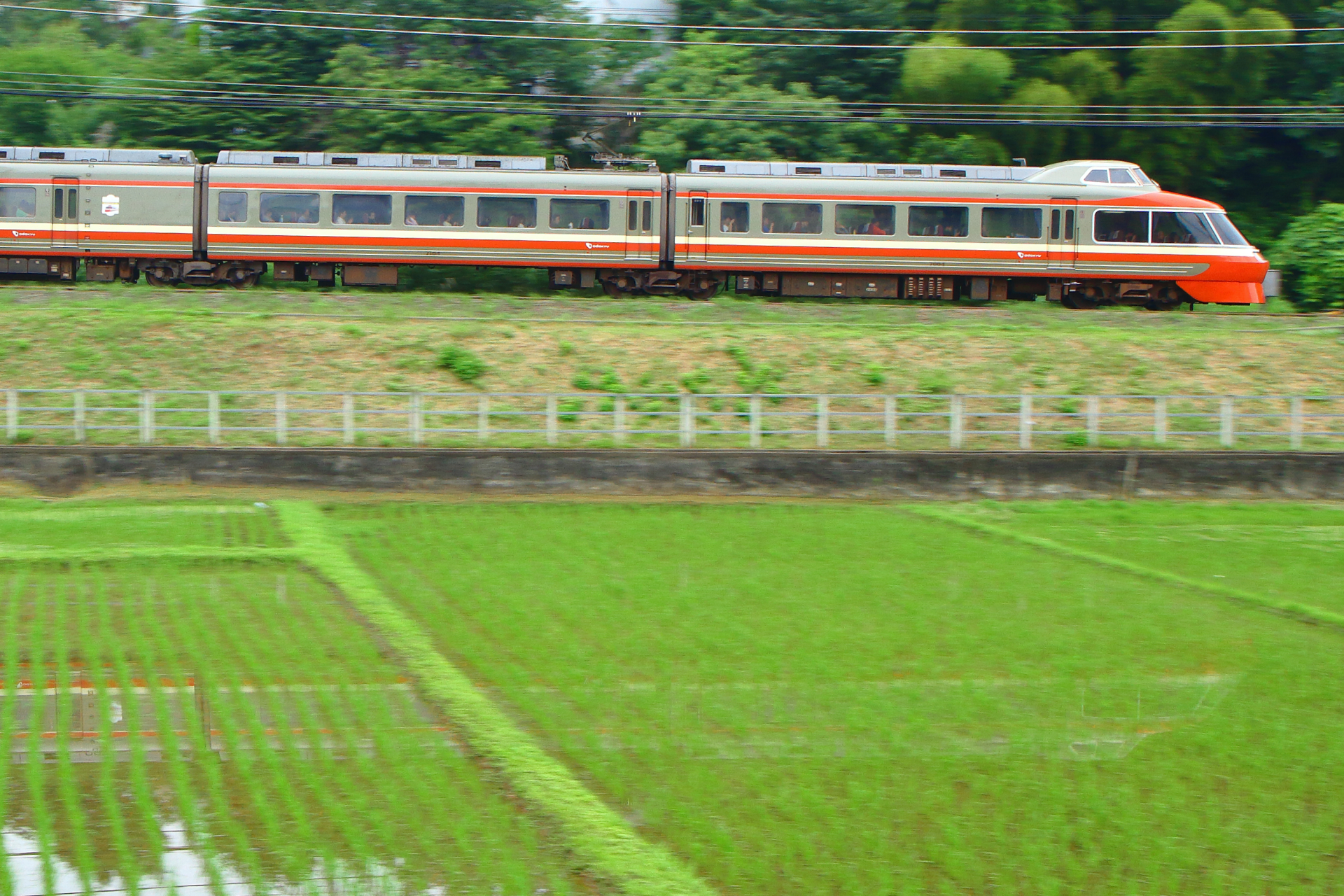 LSEは最終章へ ラストラン記念ロゴマーク掲出開始 : Odapedia ～小田急のファンブログ～