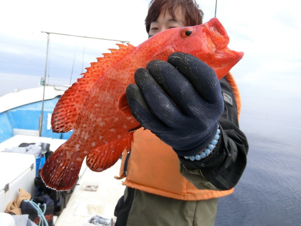 Winter Reef Game in February with Boy : OKINAWA FISHING BOAT BOOKING