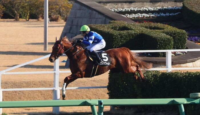 2026年はマイナス発進から一気に挽回 : 今日の研鑽 by オフィスそのまま