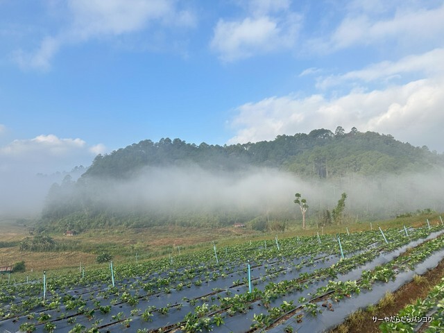 【Suan Rai Rung Arun スアンライルンアルン】 at メーホンソン県 ～眺めが最高！ラグジュアリーテントの宿泊所～ : サーヤ ...