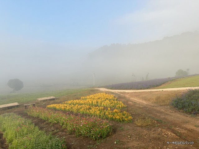 【Suan Rai Rung Arun スアンライルンアルン】 at メーホンソン県 ～眺めが最高！ラグジュアリーテントの宿泊所～ : サーヤ ...