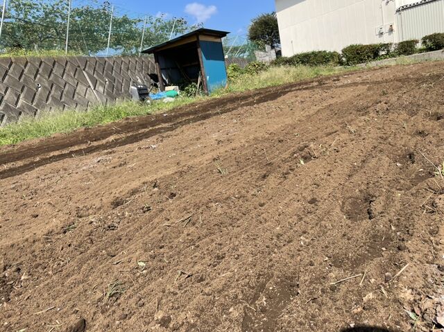 早稲田大学社会医学研究室 : Waseda Maroon Farm by TAO Tokorozawa Project Vol.489：明日のため！